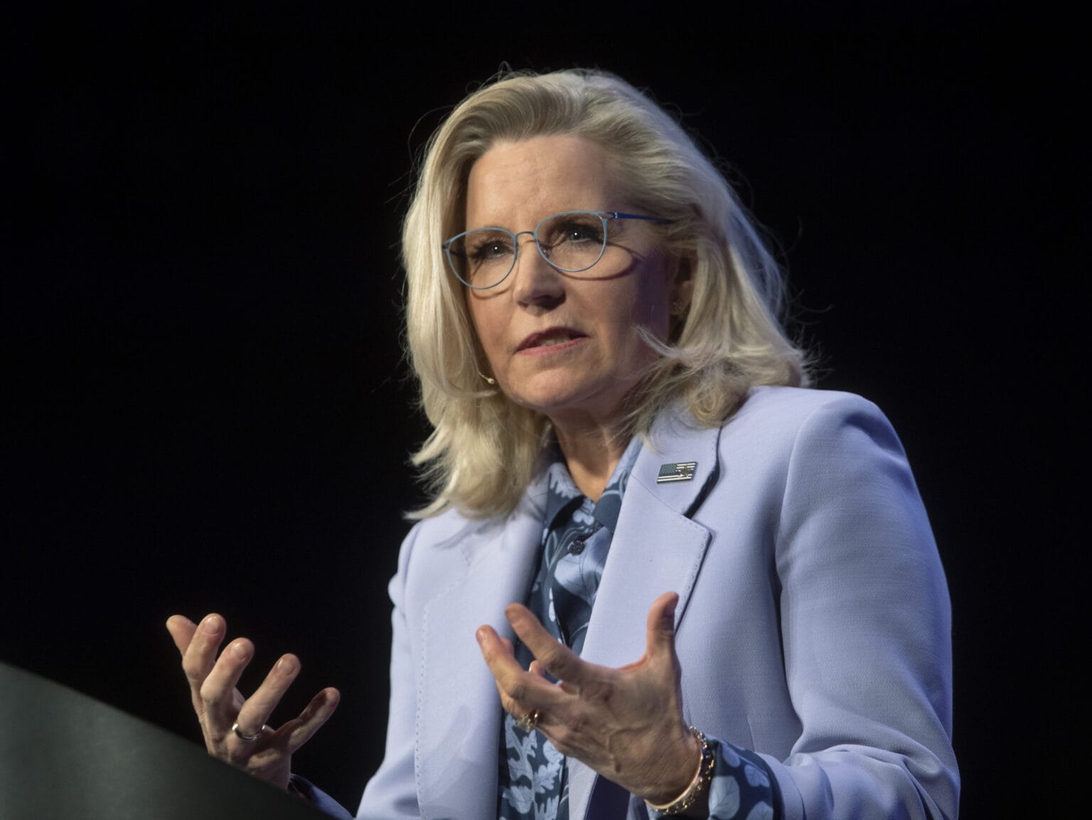 Liz Cheney - Richmond Forum